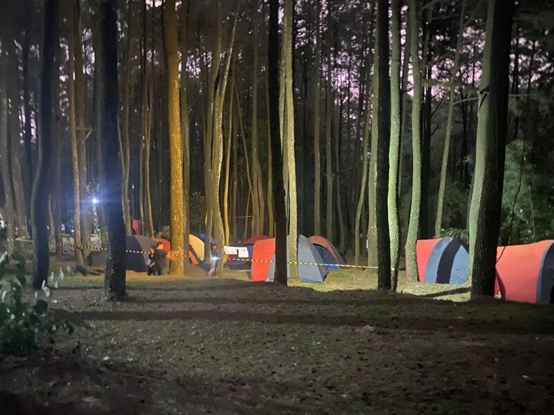 Hutan Pinus Gunung Pancar Sentul, Lokasi Camping Yang Hits di Bogor ...