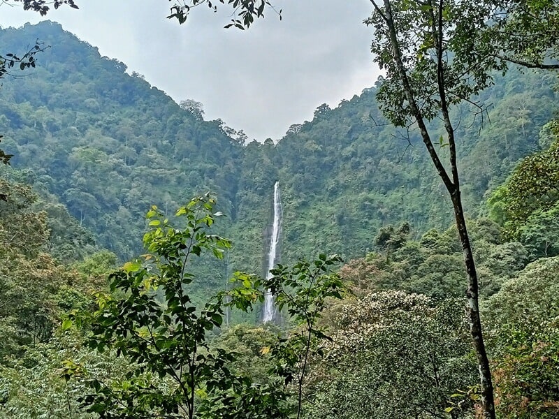 Air Terjun Tretes Wonosalam, Wisata Ke Salah-Satu Air Terjun Tertinggi ...
