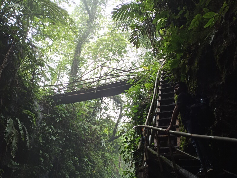 Curug Kiara, Review Trekking Hingga Tiket Masuk Terbaru ...