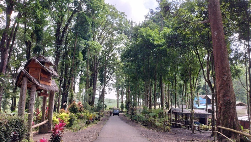 Alas Burno Senduro, Wisata Lumajang Yang Mulai Dilupakan ...