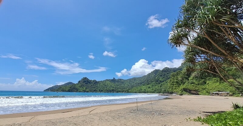 Pantai Bandealit, Spot Healing Di Kawasan Taman Nasional Meru Betiri ...