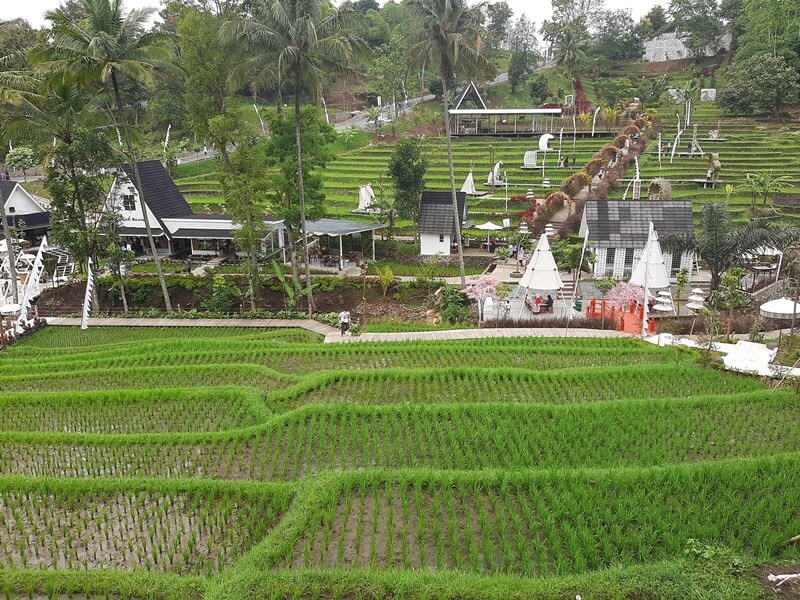 Tempat Wisata Di Limbangan, Pesona Di Utara Garut – NativeIndonesia.com