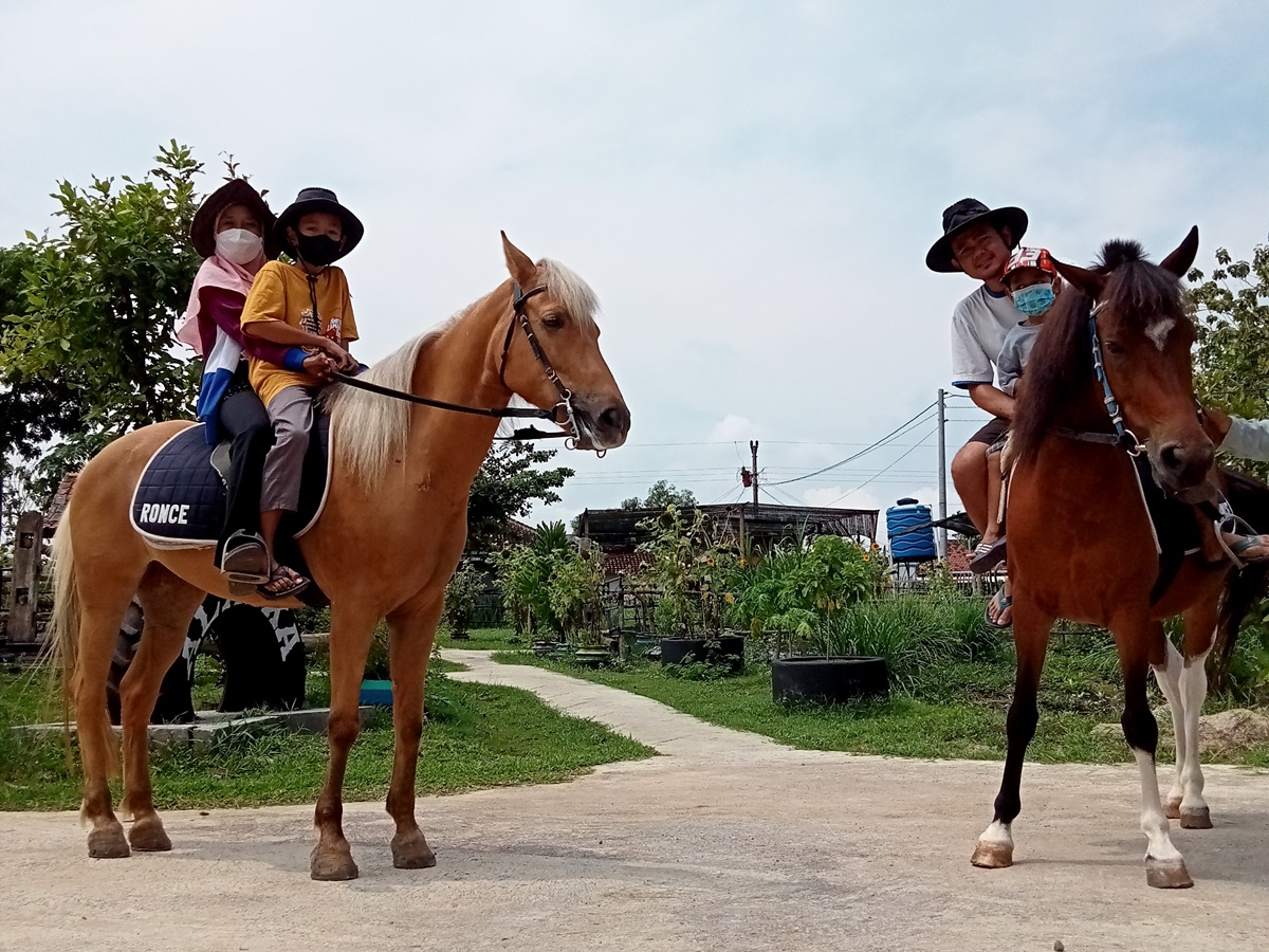 NativeIndonesia.com - Info Objek Wisata Indonesia Terlengkap