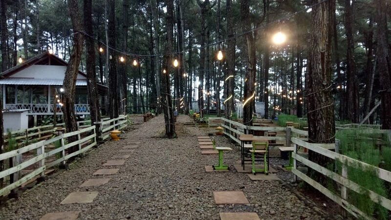 Wanawisata Polowono, Ngopi Hits Di Limpung Batang – NativeIndonesia.com