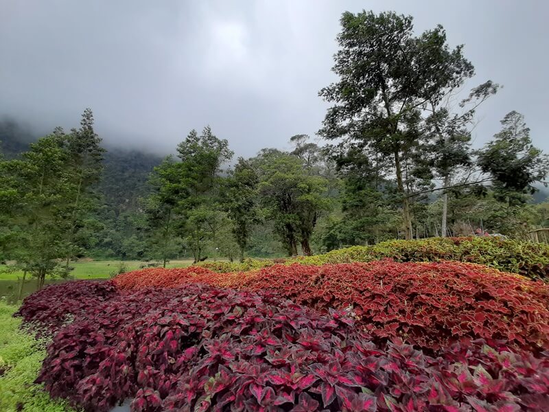 Telaga Sigebyar Mangunan, Telaga Cantik Di Petungkriyono ...