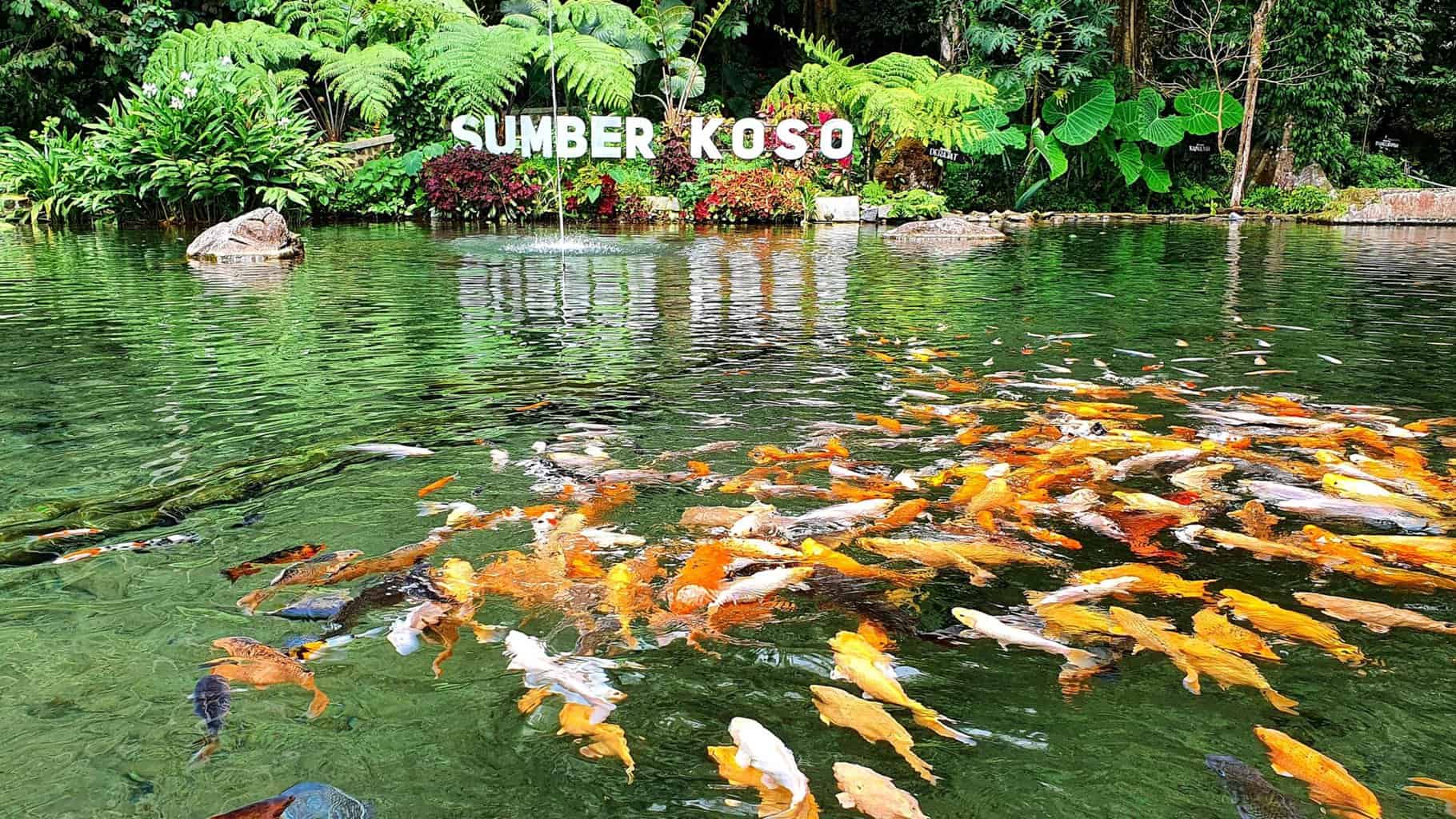 19 Tempat Wisata Ngawi, Wisata Alam Dan Sejarah Yang Mengagumkan ...