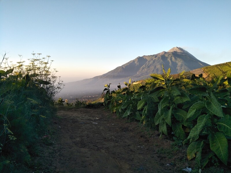 Bukit Kinasih, Hulang Healing Bersama Alam Boyolali – NativeIndonesia.com
