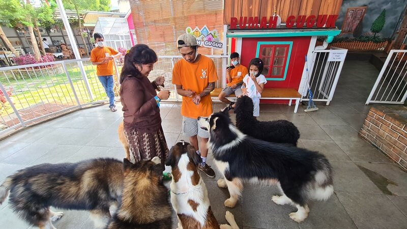 Rumah Guguk Bandung, Destinasi Wisata Guguk Dan Kamu – NativeIndonesia.com