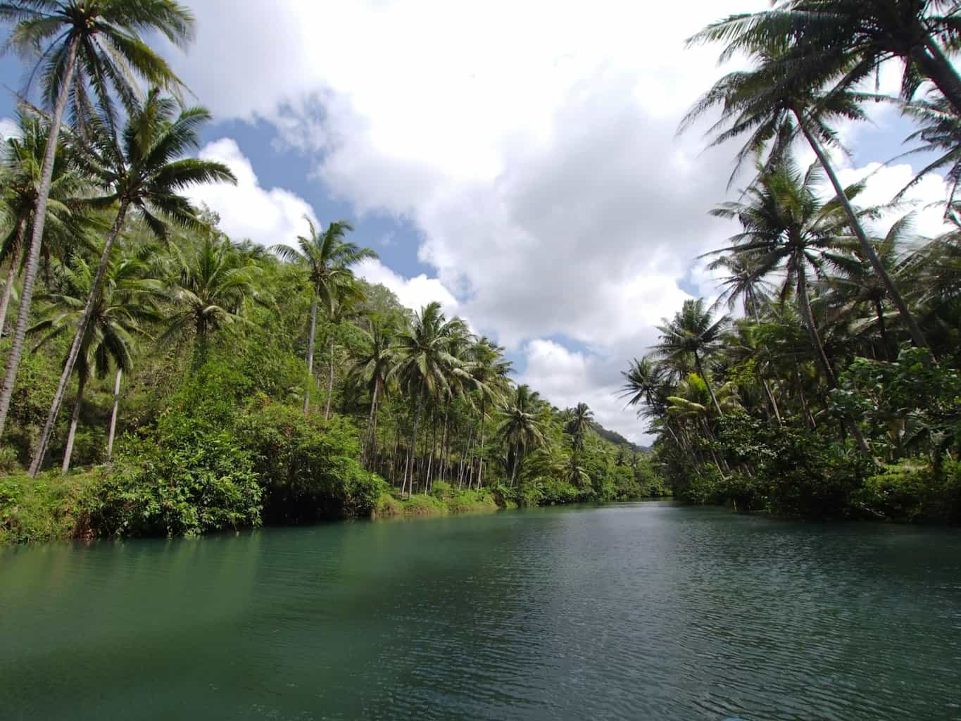 Sungai Maron Pacitan, Wisata Susur Sungai dengan Pemandangan Hutan ...