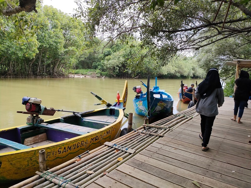 Pantai Glagah Wangi Istambul Demak, Pesona Keindahan Pantai Menyusuri Hutan Mangrove ...