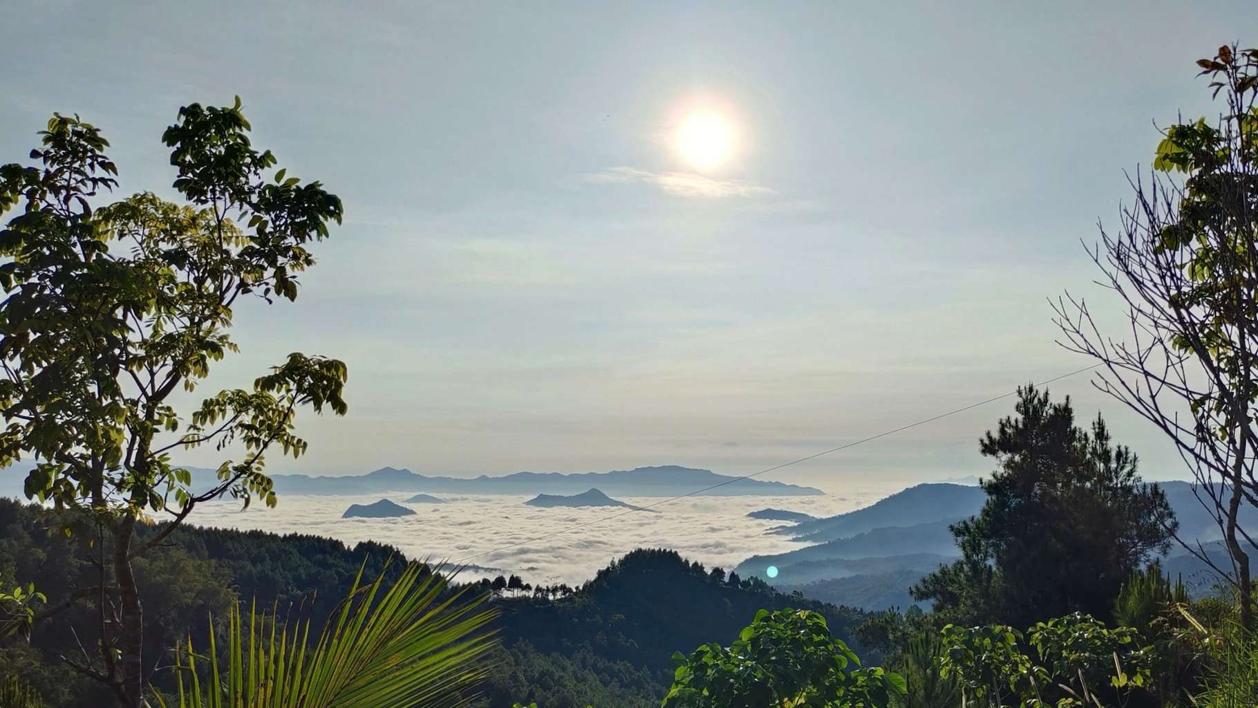 Bukit Banyon Trenggalek, Panorama Alam Negeri di Atas Awan ...