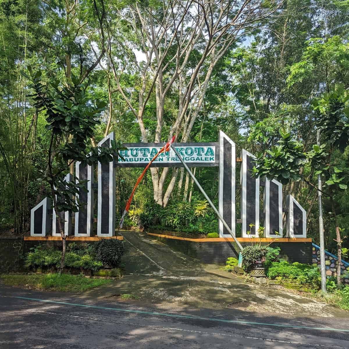 Wisata Hutan Kota Trenggalek, Pesona Keindahan Alam yang Asri dan Sejuk ...
