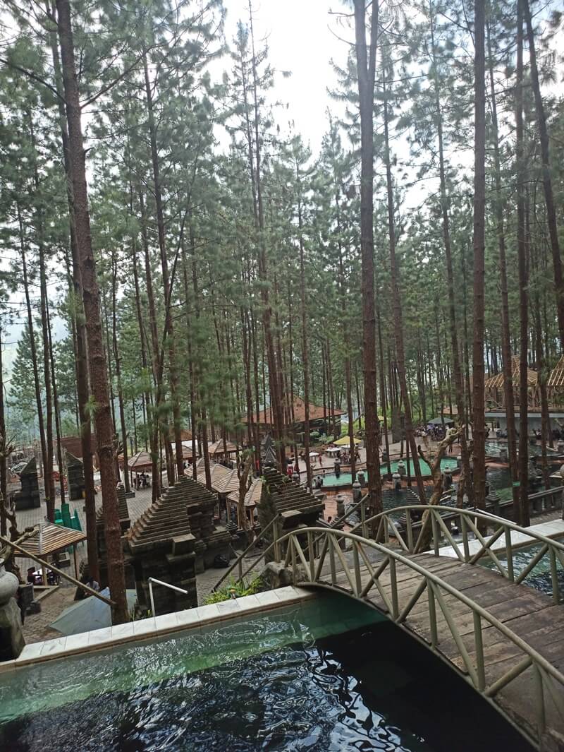 Guci Forest, Menginap Dan Berendam Air Panas Di Tengah Hutan Pinus ...