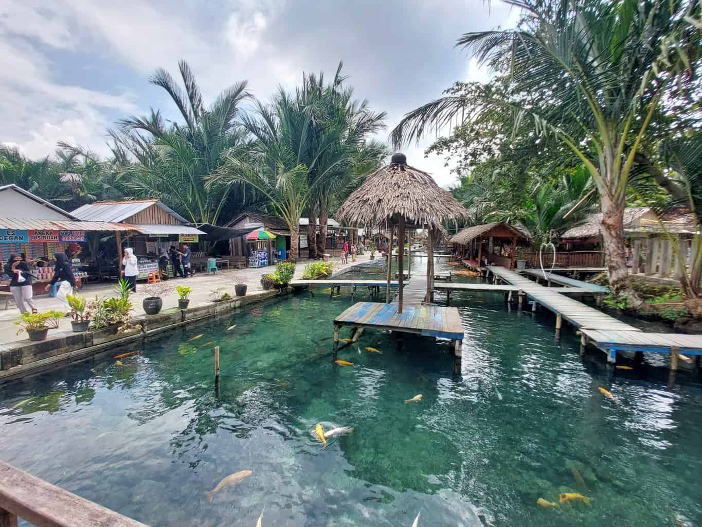 Wisata Pelang, Objek Wisata Alami Perpaduan Kebun Sagu dan Taman Sungai ...