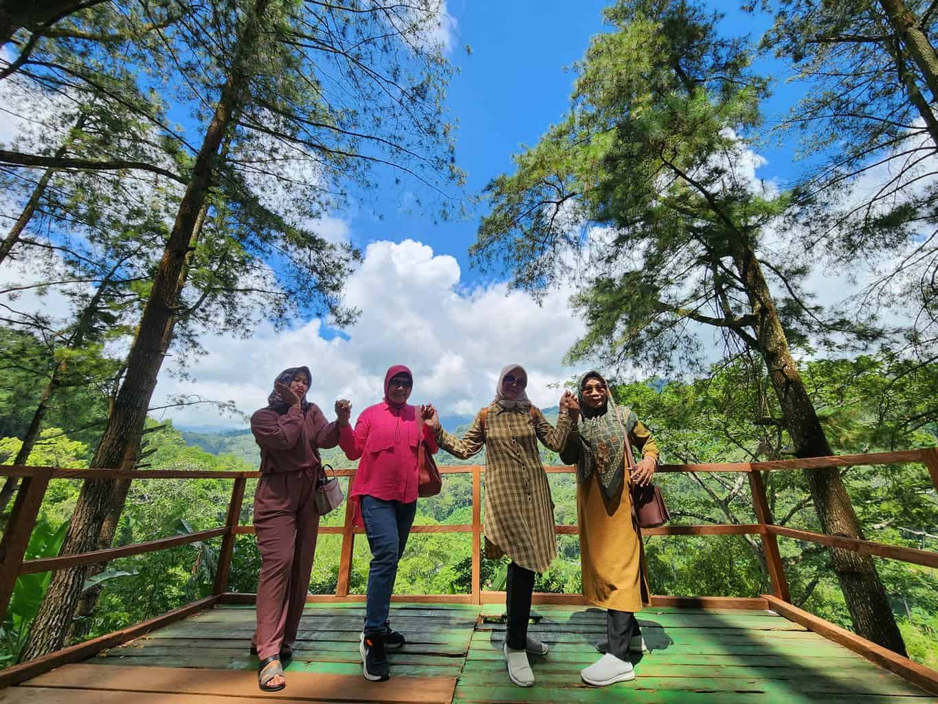 Hutan Pinus NONGKO IJO Madiun, Wisata Alam dengan Spot Kekinian yang ...