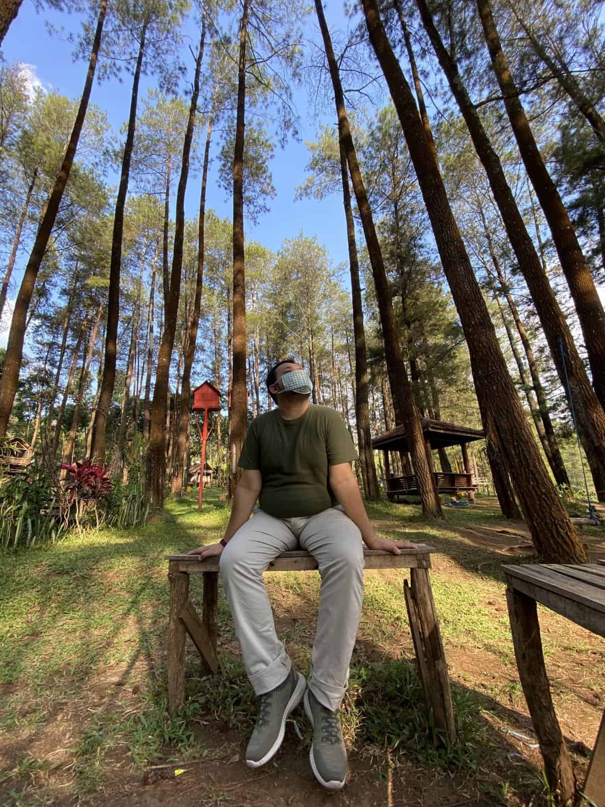 Hutan Pinus NONGKO IJO Madiun, Wisata Alam dengan Spot Kekinian yang ...