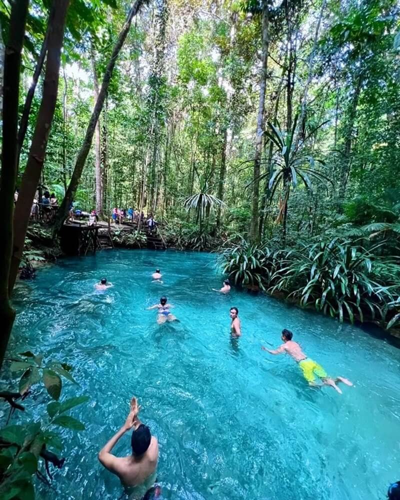 Kali Biru Raja Ampat, Birunya Sungai Di Pedalaman Hutan Warsambin ...