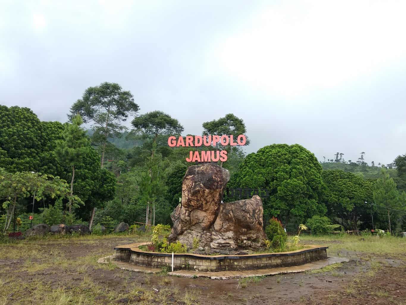 Kebun Teh Jamus Ngawi, Tempat Piknik Keluarga dengan Bentang Alam Mempesona – NativeIndonesia.com