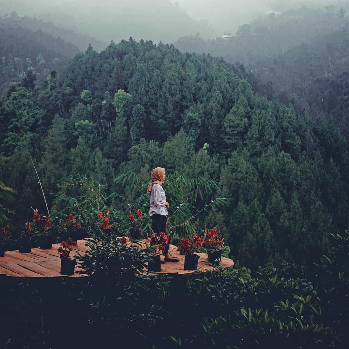 Bukit Red Flower Puspo, Wisata Alam Bernuansa Sejuk dengan Perbukitan ...