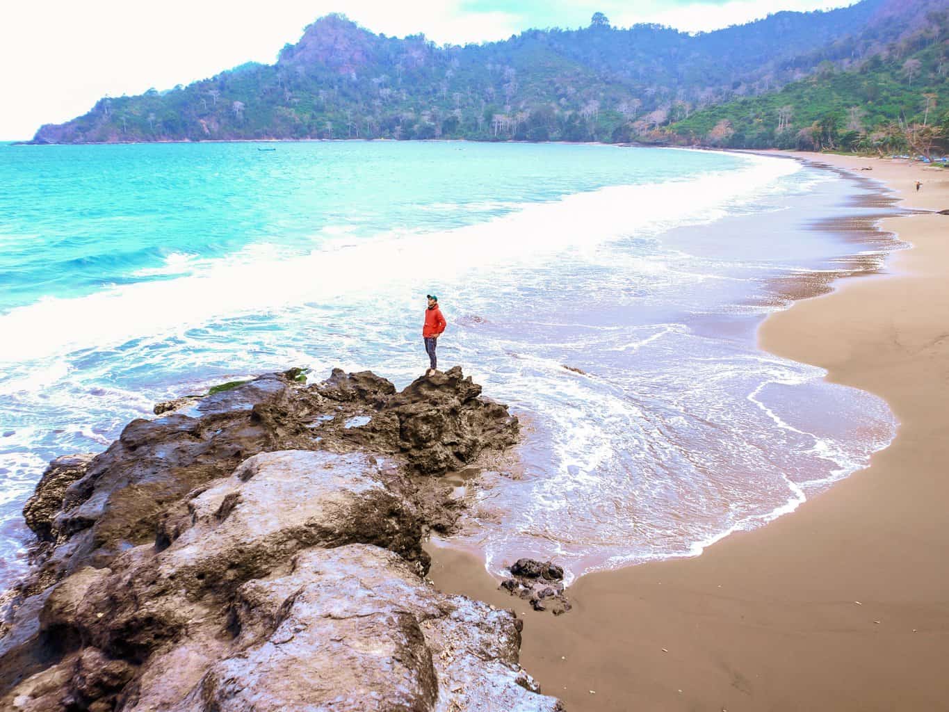Pesona Eksotisme Wisata Pantai Bandealit di Taman Nasional Meru Betiri ...