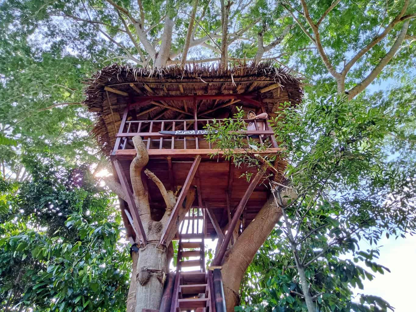 Taman Botani Sukorambi, Tempat Rekreasi, Edukasi dan Sajian Panorama ...