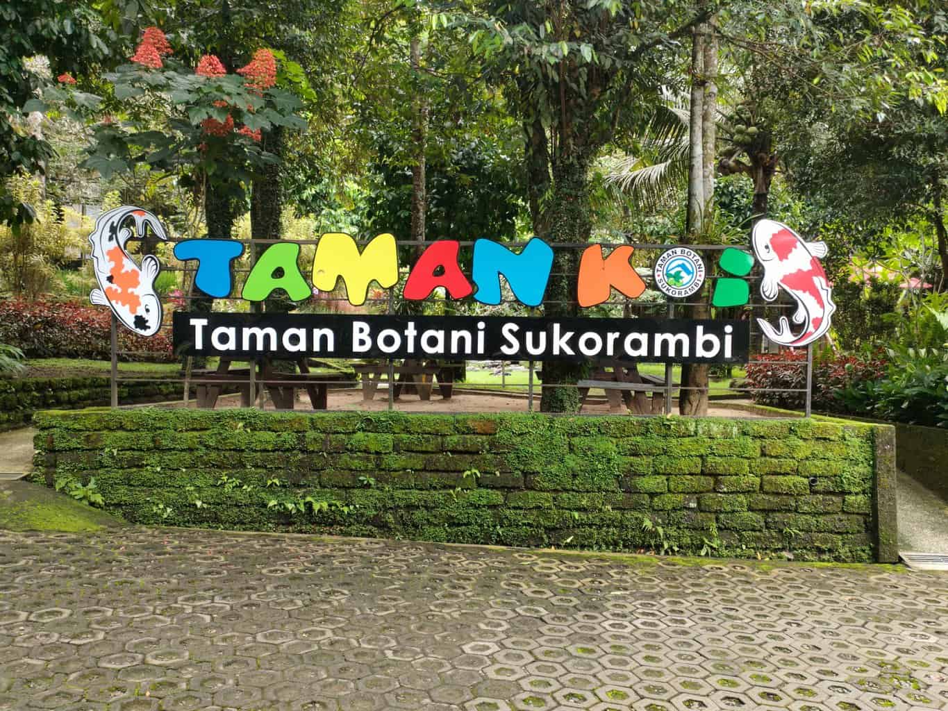 Taman Botani Sukorambi, Tempat Rekreasi, Edukasi dan Sajian Panorama ...