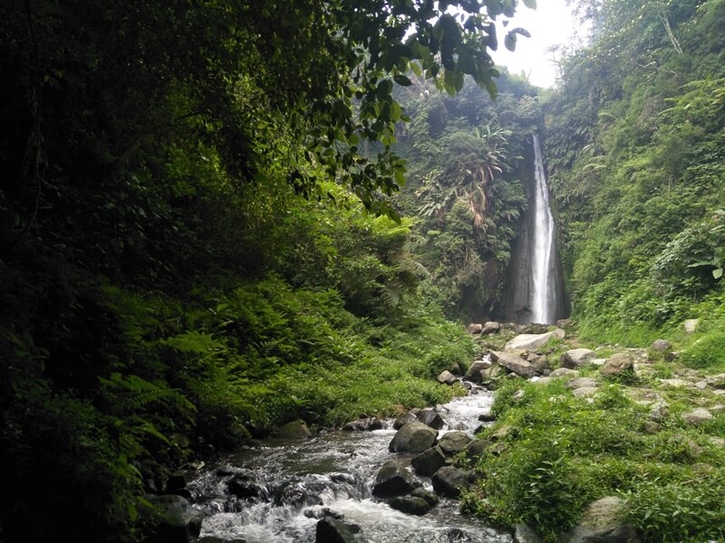 Curug Ciismun, Bonus Wisata Di Kebun Raya Cibodas – NativeIndonesia.com