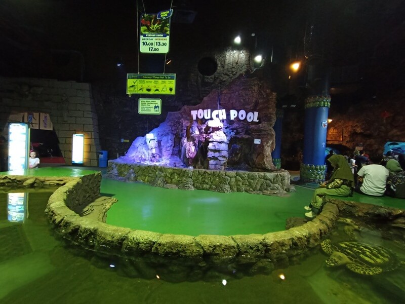 Sea World Ancol, Serunya Mengenal Dunia Bawah Laut