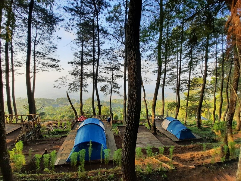Talaga Surian Camp Park, Ngecamp Di Lebatnya Hutan Pinus ...