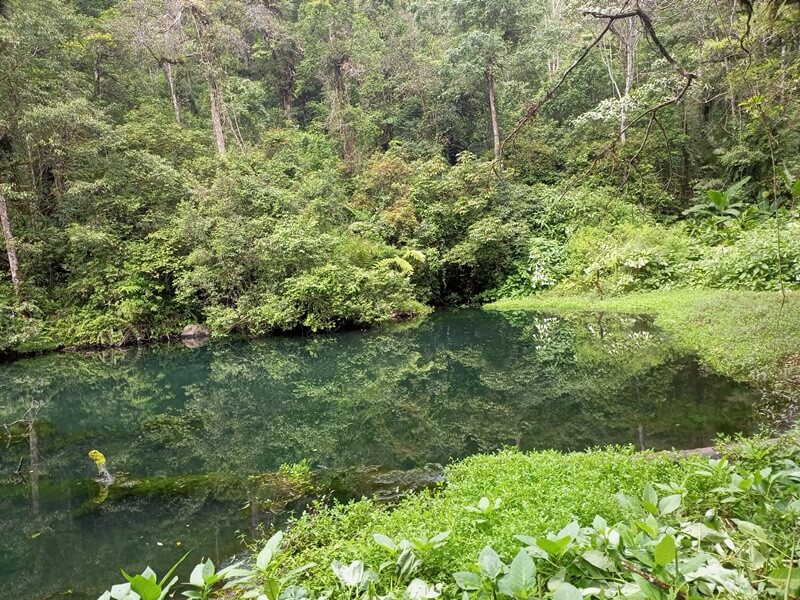 Telaga Biru, Bonus Wisata Pendakian Gunung Gede Pangrango – NativeIndonesia.com