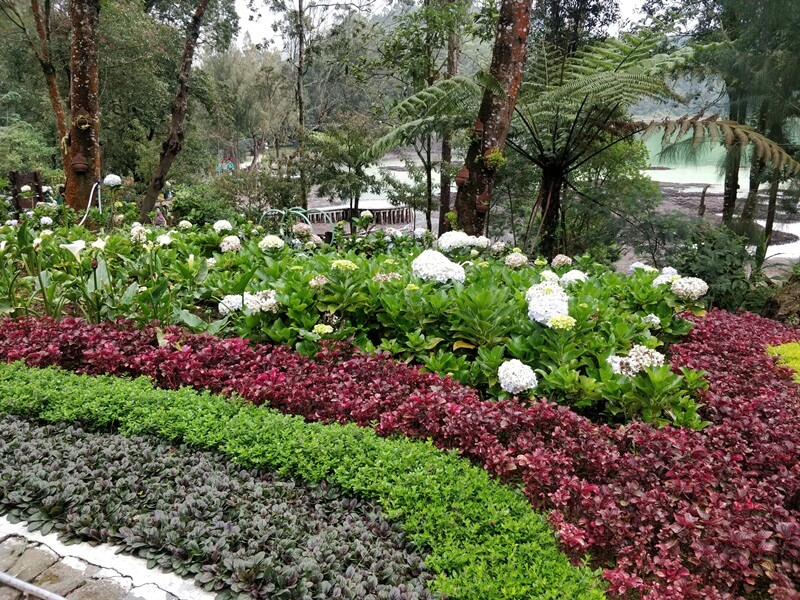 Telaga Warna Dieng, Eksplor Keindahan Danau Dieng Plateau