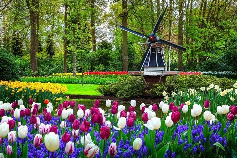 5 Tempat Wisata di Belanda, Klasik, Instagramable, Dan Romantis ...
