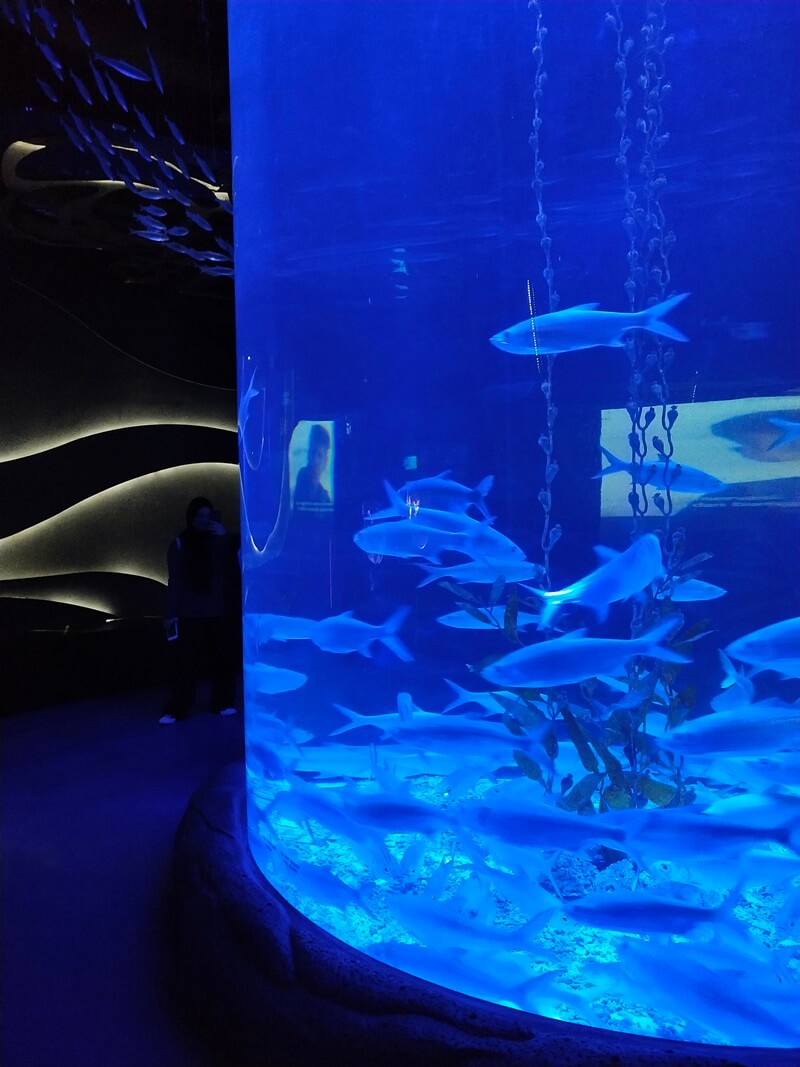 11 Tempat Wisata Di Jakarta, Update Kondisi Terbaru Saat Ini