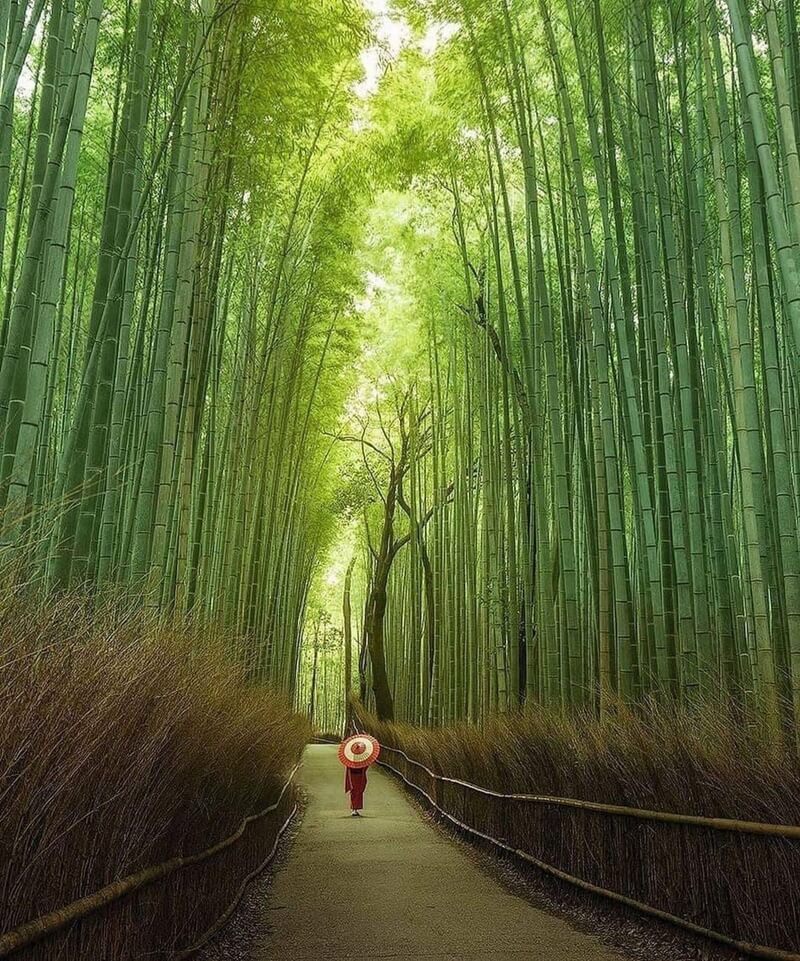 5 Tempat Wisata Di Kyoto, Jembatan Di Surga Yang Romantis ...